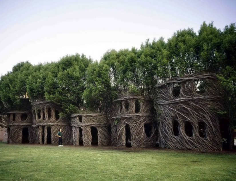 5 unusual structures in the giant trees - Pictolic