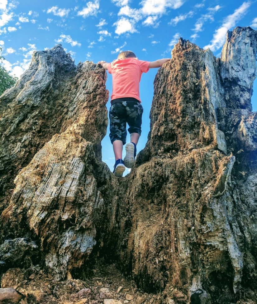 8 deceiving photographs that are pure illusions - Pictolic