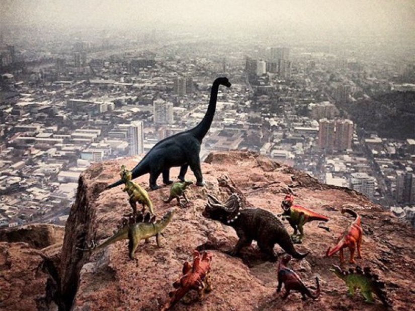 It seems that dinosaurs still roam the earth - Pictolic