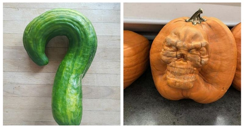 15 photos where ordinary things took a very unusual form - Pictolic