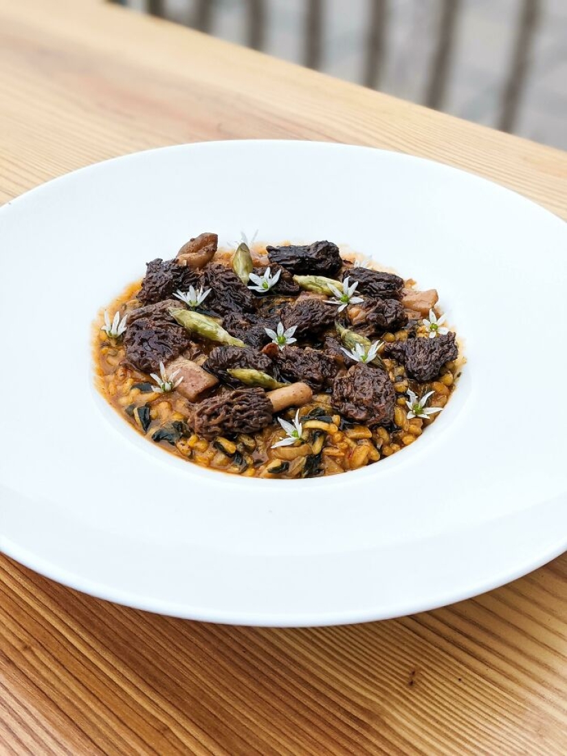 22 examples of incredibly beautiful serving of dishes that will ...