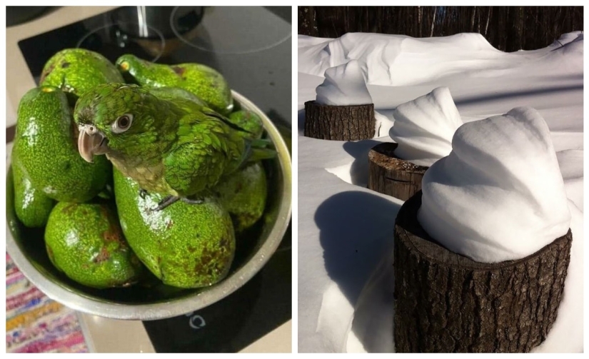 22 inedible items that somehow cause an appetite - Pictolic