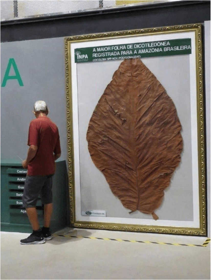 24 fotos irreales de cosas increíbles - Pictolic