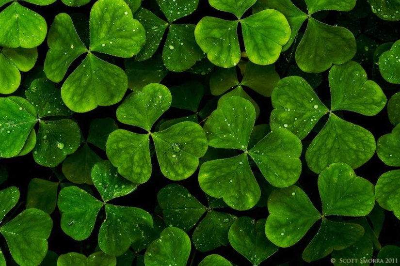 50 examples of creative photography - Pictolic