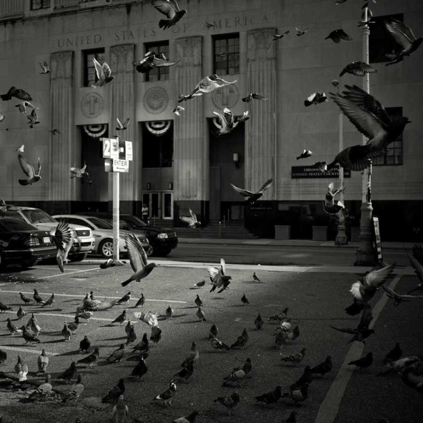 50 examples of creative photography - Pictolic