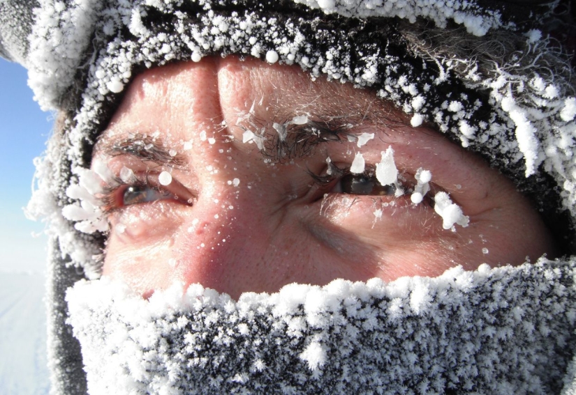 Death from hypothermia: what happens to the human body at low ...