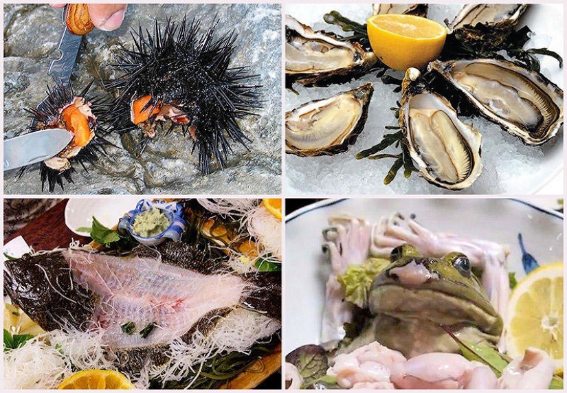 10 unusual delicacies from living creatures - Pictolic