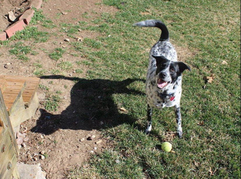 13 strange shadows that aren't what they seem - Pictolic