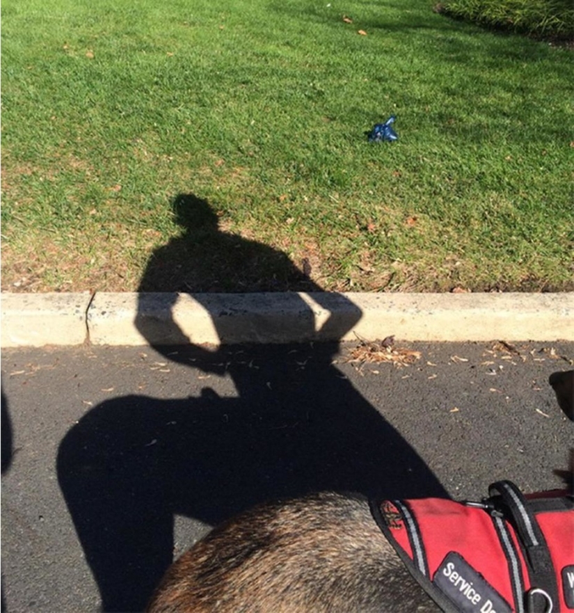 13 strange shadows that aren't what they seem - Pictolic