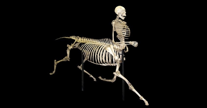 16 life patterns - Pictolic