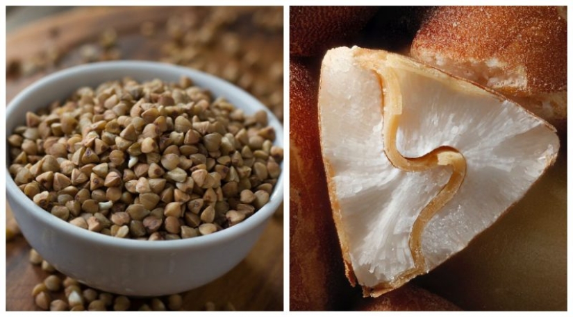 20 outwardly inconspicuous things that turned out to be surprisingly ...