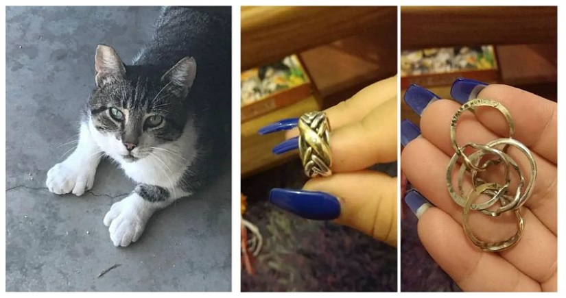 22 amazing transformations of familiar objects that will make your day ...