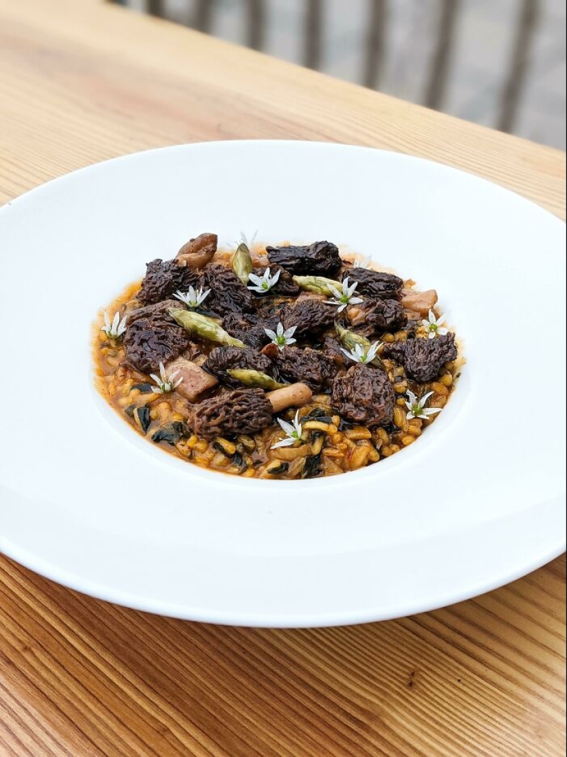 22 examples of incredibly beautiful serving of dishes that will ...