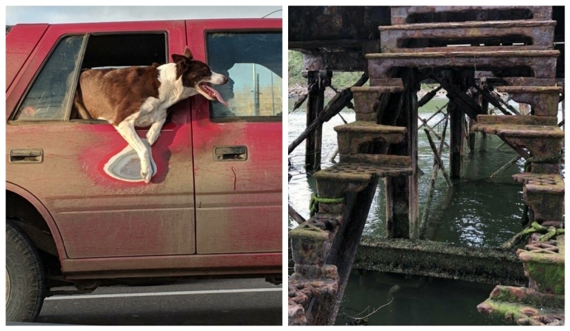 25 impressive examples that demonstrate the merciless influence of time ...