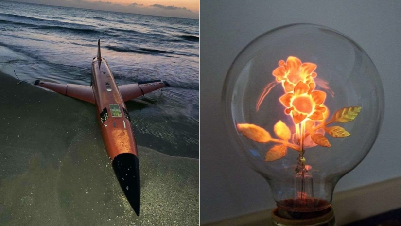 30 cosas raras que la gente encontró accidentalmente y estaban ...