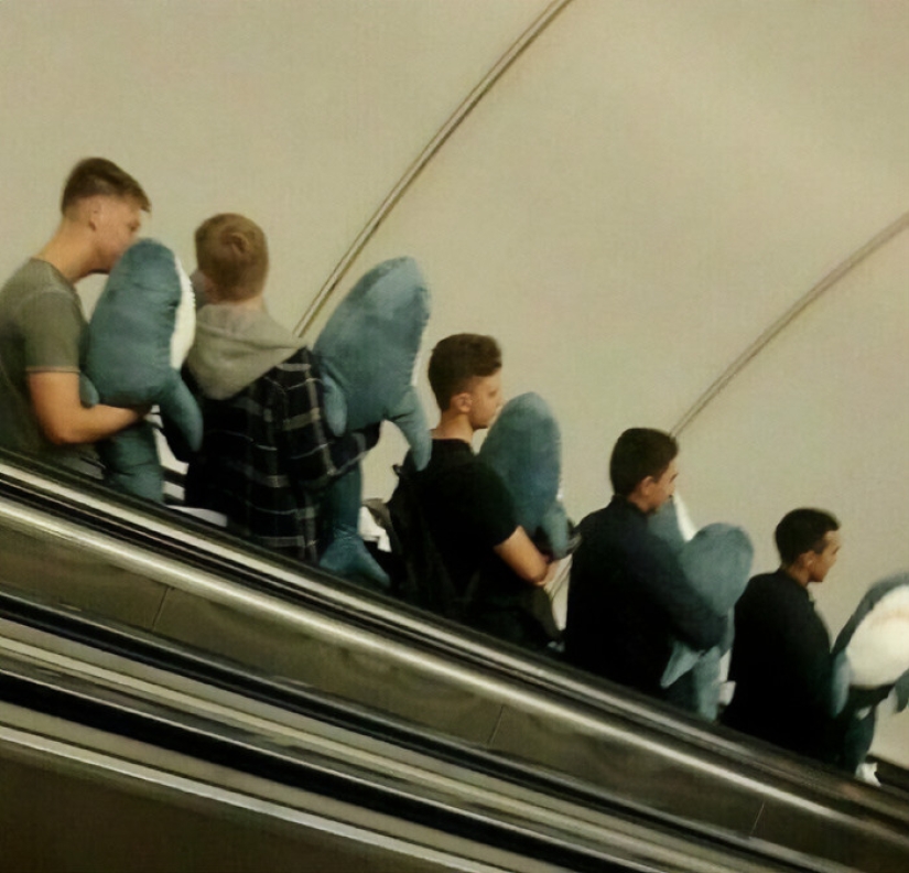 8 fotografías que plantean más preguntas que respuestas, publicadas por ...