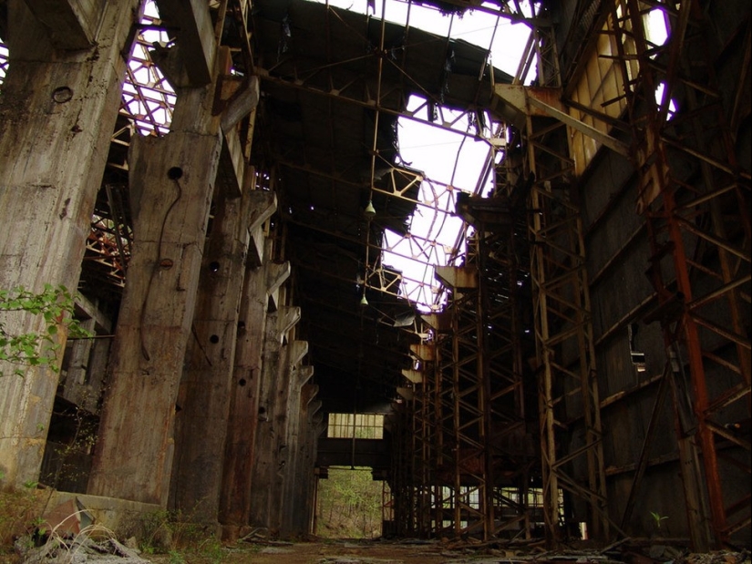 A world without humans: 35 frightening and beautiful sabrosas - Pictolic