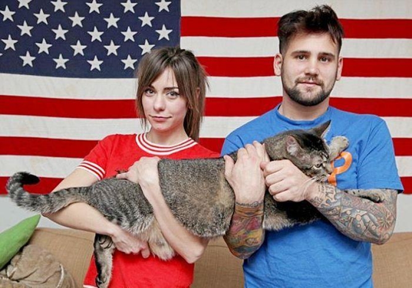 Catosaurus Rex: un gato gigante ha encontrado nuevos dueños - Pictolic