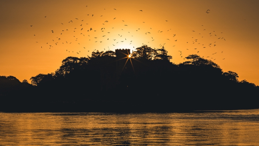 Embracing the Dawn: 5 Reasons Why Sunrise Photography Outshines Sunset ...