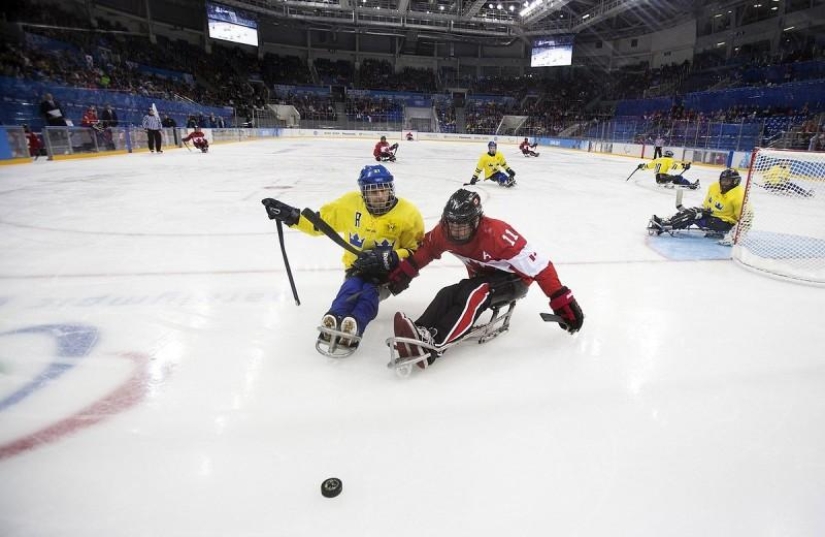 Increíbles Juegos Paralímpicos de Invierno 2014 - Pictolic