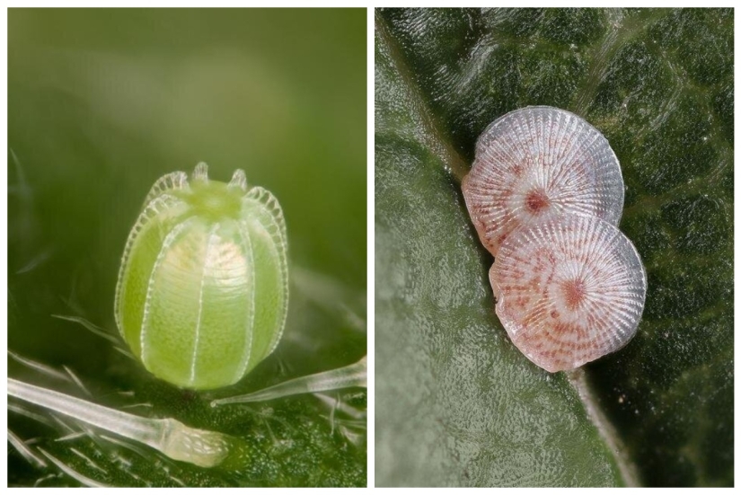 Only the most intelligent and quick-witted will understand what is ...