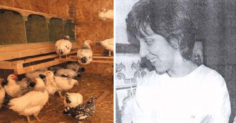 The story of a Portuguese "chicken girl" who grew up in a poultry house ...
