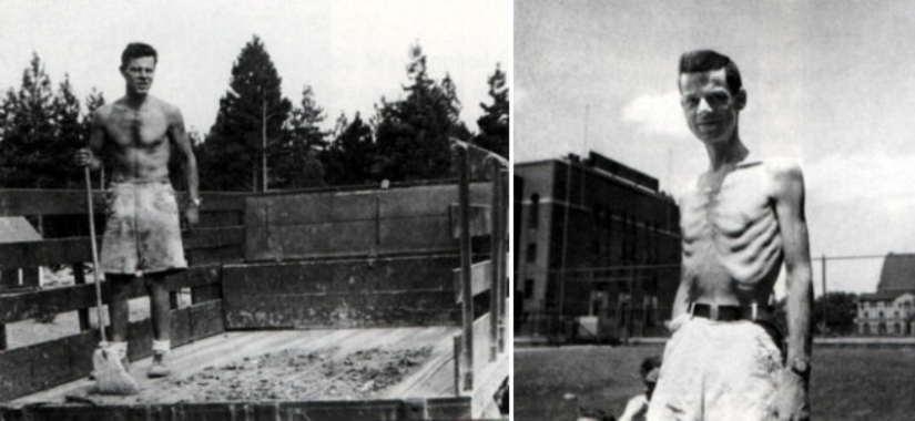 Voluntary starvation: how the 1944 Minnesota Experiment ended - Pictolic