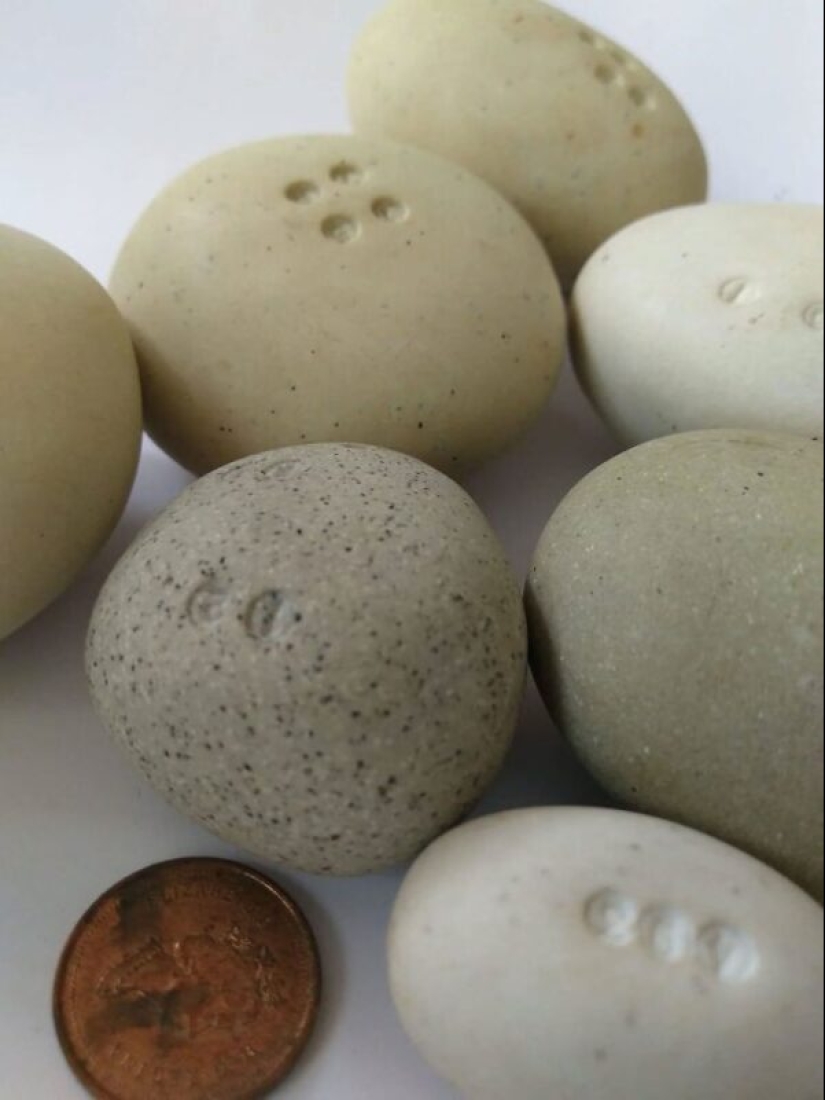 What is this thing? 40 mysterious objects and their purpose - Pictolic