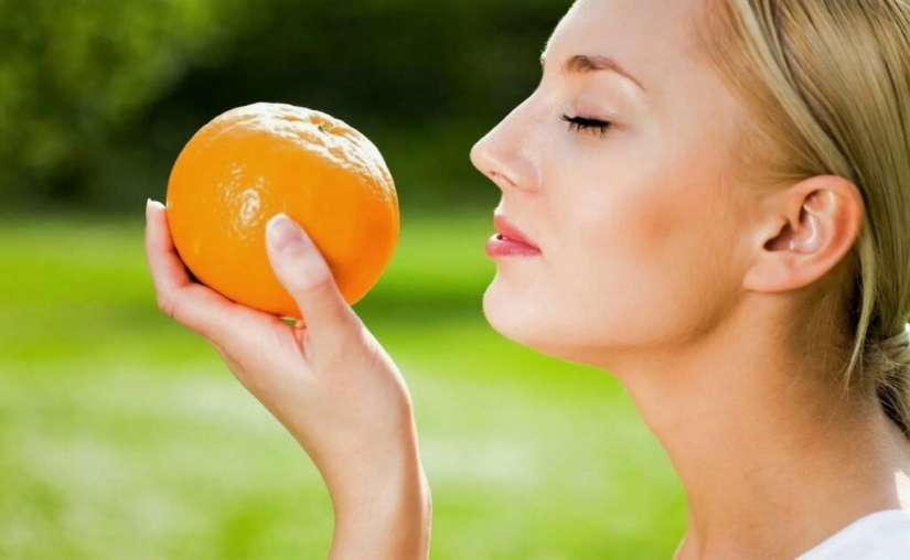 10 datos sobre los olores más útiles - Pictolic