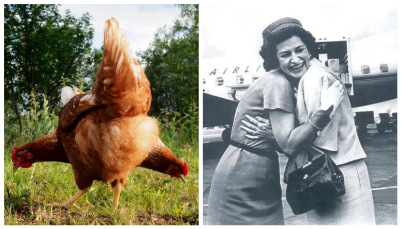 22 fotos en las que suceden cosas locas - Pictolic