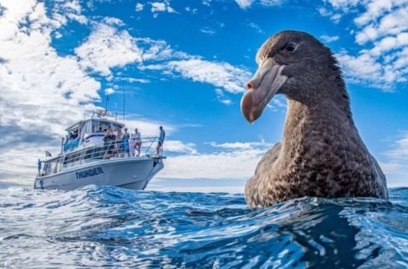 Deceptive perspective: 22 example optical illusions - Pictolic