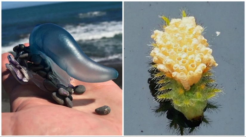 30 perplexed people who found the answer to their question on the Internet - Pictolic