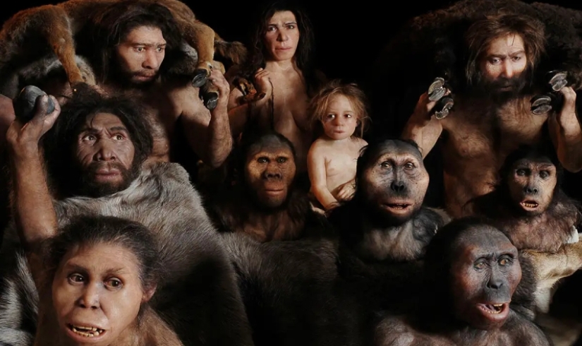 Evolutionary Atavisms: 7 Organs We No Longer Need - Pictolic