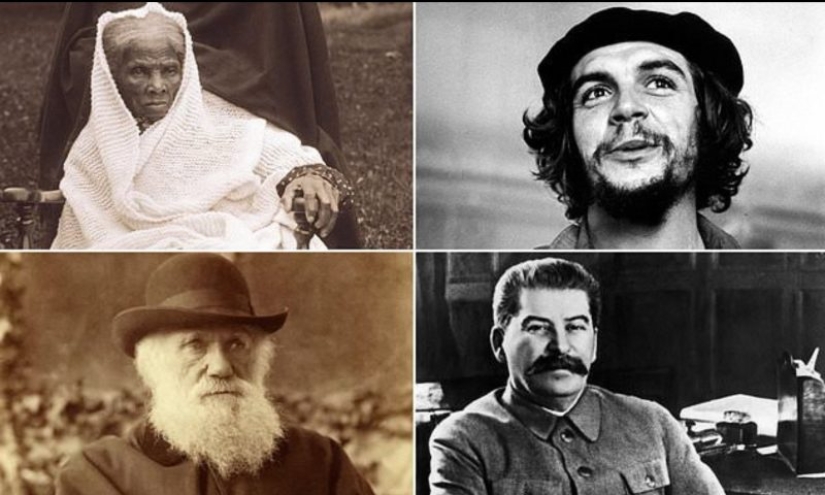 Senior is not better: scientists have determined that the first ...