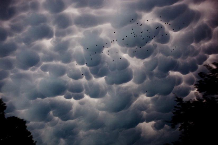 the 50 most beautiful clouds in the world - Pictolic